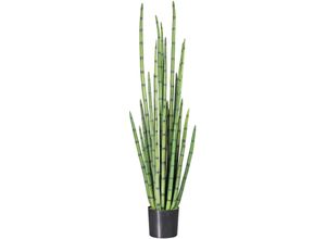 4064118079224 - Kunstpflanze CREATIV GREEN Sanseveria Kunstpflanzen Gr H 140 cm grün Künstliche Zimmerpflanzen Kunstpflanzen