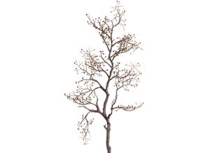 8505492745085 - Kunstzweig BOTANIC-HAUS Pfefferberrenzweig braun Kunstpflanzen Ø H 47cm x 115cm Kunststoff B47cm H115cm T10cm