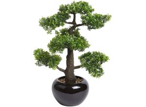 8714344265224 - Kunstbonsai BOTANIC-HAUS Ficus Bonsai grün Kunstpflanzen Ø H 36cm x 49cm Kunststoff B36cm H49cm T36cm