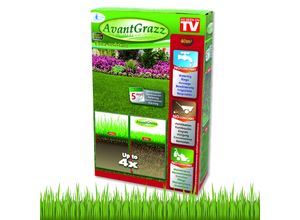 0644812023361 - Best Direct® Rasensamen - Grassamen - Unkrautresistent - Nachsaat Avant Grazz®