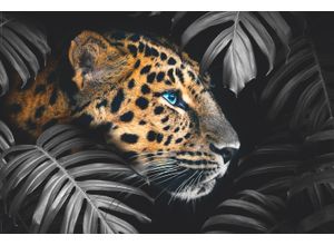 8714597587531 - Wandbild REINDERS Wandbild Leopard Jungle - Pflanze Tiermotiv Bilder Gr B H 90 cm x 60 cm Leopard 1 St bunt (mehrfarbig) Kunstdrucke