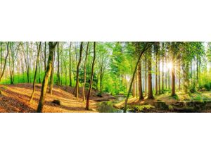 8714597615449 - Wandbild REINDERS Sonniger Wald Bilder Gr B H T 156 cm x 52 cm x 2 cm grün Kunstdrucke