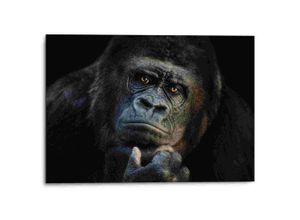 8714597556421 - Alu-Dibond-Druck PLATINUM Gorilla Bilder Gr B H T 70 cm x 50 cm x 2 cm 1 1 St schwarz Metallbilder Joachim G Pinkawa