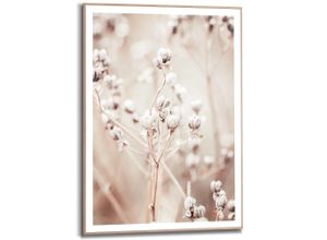 8714597626131 - Bild DRIED WHITES (LBH 50x160x70 cm) LBH 50x160x70 cm bunt Kunstdruck Gemälde Wandbild