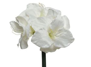 8720194584095 - Kunstblume AMARYLLIS weiss (DH 24x60 cm) DH 24x60 cm weiß Pflanze Kunstpflanze Zimmerpflanze