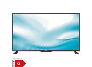 4260552542557 - Enter 40 Pro X2 LED-TV 1003 cm 40 Zoll EEK G (A - G) DVB-T2 DVB-C DVB-S Full HD CI+ Schwarz