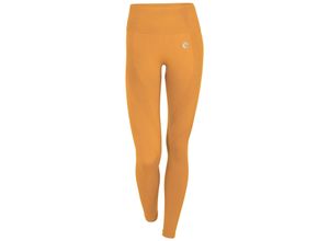 4255664203601 - Sport Leggings High Waist