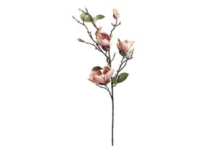 5712750359264 - Chic Antique Fleur Multi Magnolia Höhe 87 cm