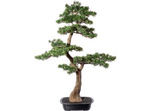 4064118144045 - Kunstbonsai CREATIV GREEN Bonsai Lärche Kunstpflanzen Gr B H 60 cm x 100 cm 1 St grün Kunst-Bonsai im dekorativen Topf