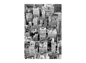 4055065155253 - Bild KOMAR Roof Top bunt (farbe bild(er) bunt) B50cm H70cm Papier Holz Bilder Wandbild zur Dekoration - ohne Rahmen