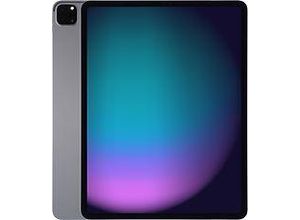 0194252195277 - Gebraucht iPad Pro 129 (2021) 256GB WiFi Spacegrau