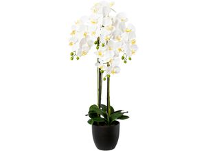 4064118137955 - Kunstorchidee CREATIV GREEN Phalaenopsis im Resintopf weiß H99cm Obermaterial 100% Polyethylen Kunstpflanzen mit Real-Touch-Blüten