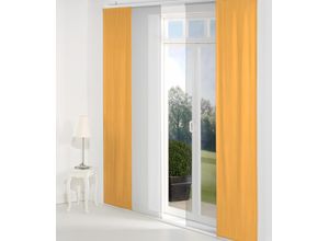 4004567173623 - Schiebegardine WIRTH LANGWASSER Gardinen Gr 145 cm Klettband 60 cm orange (apricot) Schiebegardinen blickdicht Gardine inkl Beschwerungsstange