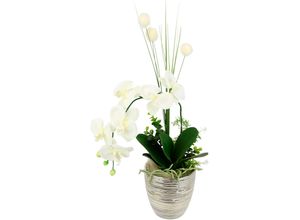 4019844755348 - Kunstblume IGEA Arrangement Orchidee Gras Kunstpflanzen Gr B H L 25 cm x 60 cm x 16 cm 1 St beige (creme) Kunst-Blumen Kunstpflanzen Topf aus Keramik