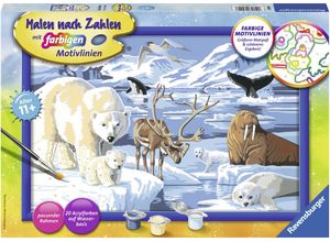 4005556289097 - Malen nach Zahlen - Jeder kann malen (Mal-Sets) Bildgröße 31 x 21 cm Ravensburger Malen nach Zahlen 28909 - Tiere der Arktis - Kinder ab 11 Jahren