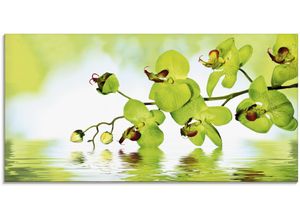 4055327018081 - Glasbild ARTLAND Schöne Orchidee mit grünem Hintergrund Bilder Gr B H 100 cm x 50 cm Glasbild Blumen 1 St grün Glasbilder in verschiedenen Größen