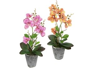 4019844778989 - Kunstpflanze IGEA Orchidee Kunstpflanzen Gr B H L 19 cm x 40 cm x 40 cm 2 St bunt (rosa orange) Künstliche Zimmerpflanzen Mit Blättern und Luftwurzeln im Topf aus Keramik 2er Set