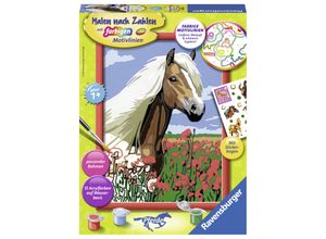 4005556286522 - Malen nach Zahlen RAVENSBURGER Haflinger bunt Malvorlagen KinderB18cm H24cm Made in Europe B18cm H24cm