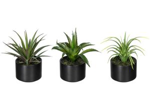 4064118070993 - Künstliche Zimmerpflanze CREATIV GREEN Set aus Aloe Agave und Tillandsie Kunstpflanzen Gr H 15 cm 3 St grün Künstliche Zimmerpflanzen Kunstpflanzen im Keramiktopf 3er Set