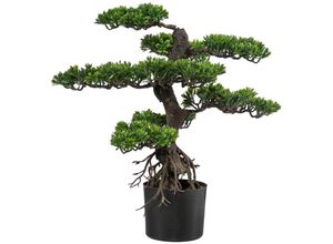 4064118039471 - Kunstbonsai CREATIV GREEN Bonsai Kunstpflanzen Gr H 75 cm 1 St grün Kunstbonsai Kunst-Bonsai Kunstpflanzen