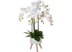 4064118138266 - Kunstorchidee CREATIV GREEN Orchidee Phalaenopsis in Keramikschale weiß H75cm Obermaterial 95% Polyethylen 5% Polyester Kunstpflanzen mit Real-Touch-Blüten und auf Füßen