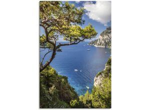 4062144661659 - Wandbild ARTLAND Punta de Masullo Insel Capri Italien Bilder Gr B H 60 cm x 90 cm Leinwandbild Meer Bilder Hochformat 1 St blau Kunstdrucke als Alubild Leinwandbild Wandaufkleber oder Poster in versch Größen