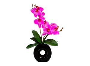 4003529918470 - Kunstorchidee GASPER Kunstpflanzen Gr B H 20 cm x 35 cm 1 St lila Kunst-Orchideen