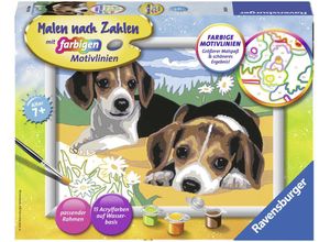 4005556283293 - Malen nach Zahlen RAVENSBURGER Jack Russel Welpen Malvorlagen bunt Kinder Basteln Malen Kosmetik Schmuck Made in Europe FSC - schützt Wald weltweit