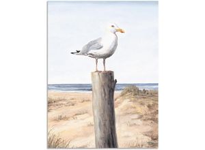 4057738410461 - Wandbild ARTLAND Möwe Bilder Gr B H 90 cm x 120 cm Alu-Dibond-Druck Vögel 1 St weiß Bild Poster Bilder als Alubild Leinwandbild Wandaufkleber oder in versch Größen