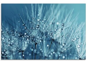 4055327990431 - Glasbild ARTLAND Blaue glitzernde Pusteblume Bilder Gr B H 80 cm x 60 cm Glasbild Blumen Querformat 1 St blau Bild Glasbild Glasbilder Bilder in verschiedenen Größen