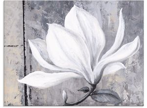 4062144150535 - Glasbild ARTLAND Klassische Magnolie Bilder Gr B H 80 cm x 60 cm Glasbild Blumen 1 St grau Glasbilder in verschiedenen Größen