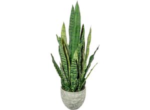 4064118138327 - Künstliche Zimmerpflanze CREATIV GREEN Sanseveria Kunstpflanzen Gr H 70 cm 1 St grün Künstliche Zimmerpflanzen