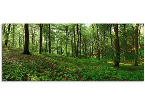 4062144100912 - Glasbild ARTLAND Panorama von einem grünen Sommerwald Bilder Gr B H 125 cm x 50 cm Glasbild Wald 1 St grün Glasbilder in verschiedenen Größen