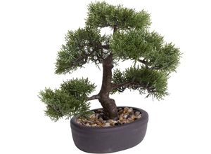 8714344265170 - Kunstbonsai BOTANIC-HAUS Ceder Bonsai grün B32cm H32cm T32cm Ø32cm Kunststoff Kunstpflanzen