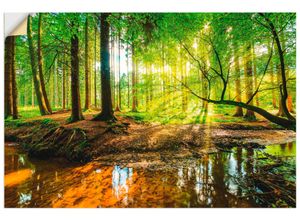 4059745929745 - Wandbild ARTLAND Wald mit Bach Bilder Gr B H 120 cm x 80 cm Wandaufkleber - Vinyl Wald Querformat 1 St grün Bild Poster Bilder als Alubild Leinwandbild Wandaufkleber oder in versch Größen