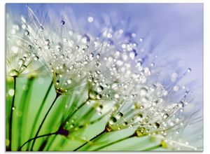 4055327990424 - Glasbild ARTLAND Glitzernde Pusteblume Bilder Gr B H 80 cm x 60 cm Glasbild Blumen Querformat 1 St blau Bild Glasbild Glasbilder Bilder in verschiedenen Größen