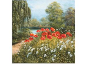 4057738396246 - Wandbild ARTLAND Mohnwiese am See Bilder Gr B H 100 cm x 100 cm Alu-Dibond-Druck Blumenwiese 1 St grün Bild Poster Bilder als Alubild Leinwandbild Wandaufkleber oder in versch Größen