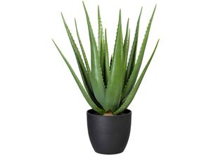 4064118968276 - Künstliche Zimmerpflanze CREATIV GREEN Aloe Kunstpflanzen Gr B H 25 cm x 66 cm 1 St grün Künstliche Zimmerpflanzen