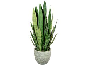 4064118138334 - Künstliche Zimmerpflanze CREATIV GREEN Sanseveria Kunstpflanzen Gr H 80 cm 1 St grün Künstliche Zimmerpflanzen