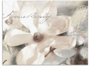 4057738414056 - Wandbild ARTLAND Magnolie_Detail Bilder Gr B H 120 cm x 90 cm Alu-Dibond-Druck Blumenbilder Querformat 1 St weiß Kunstdrucke als Alubild Leinwandbild Wandaufkleber oder Poster in versch Größen