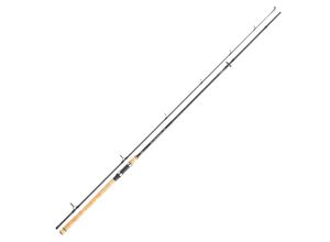 4066466069735 - Daiwa Exceler Trad 270m 20-60g Spinnrute