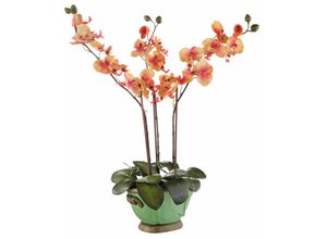 4019844612887 - Kunstpflanze IGEA Orchidee Kunstpflanzen Gr B H 35 cm x 60 cm 1 St orange Kunstorchidee Kunstpflanze Zimmerpflanze Künstliche Zimmerpflanzen Kunstpflanzen