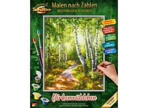 4000887928011 - Malen nach Zahlen SCHIPPER Meisterklasse Klassiker - Birkenwäldchen Malvorlagen bunt Kinder Basteln Malen Kosmetik Schmuck Made in Germany