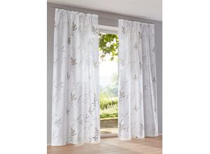 4016478986018 - Vorhang KUTTI Dandelion Gr 2 grau (taupe weiß beige) B140cm H175cm Baumwolloptik Baumwolle Polyester Gardinen Gardine halbtransparent Ausbrenner Baumwolle-Polyester bedruckt