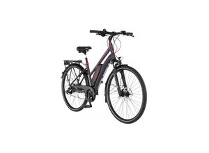 4008153041853 - FISCHER Viator 10 Trekkingrad (Laufradgröße 28 Zoll Rahmenhöhe 44 cm Damen-Rad 418 Wh Dunkel anthrazit matt)