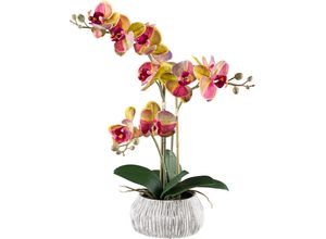 4064118240853 - Kunstorchidee CREATIV GREEN Orchidee Phalaenopsis gelb H48cm Kunststoff Kunstpflanzen mit außergewöhnlicher Zementschale