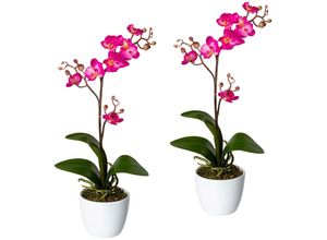 4064118038771 - Kunstpflanze CREATIV GREEN Orchidee Phalaenopsis Kunstpflanzen Gr H 55 cm 2 St pink Künstliche Zimmerpflanzen Kunstpflanzen im Keramiktopf