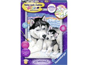 4005556284795 - Malen nach Zahlen - Jeder kann malen (Mal-Sets) Bildgröße 18 x 24 cm Ravensburger Malen nach Zahlen 28479 - Husky Kuss - Kinder ab 7 Jahren