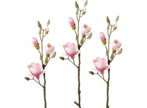 4064118078210 - Kunstzweig CREATIV GREEN Zweig Magnolie Kunstpflanzen Gr H 84 cm 3 St rosa Kunstzweig Kunst-Zweige Kunstpflanzen 3er Set