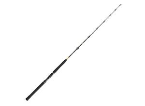 4066466069940 - Daiwa BG Big Game 168m 30-50lbs Bootsrute